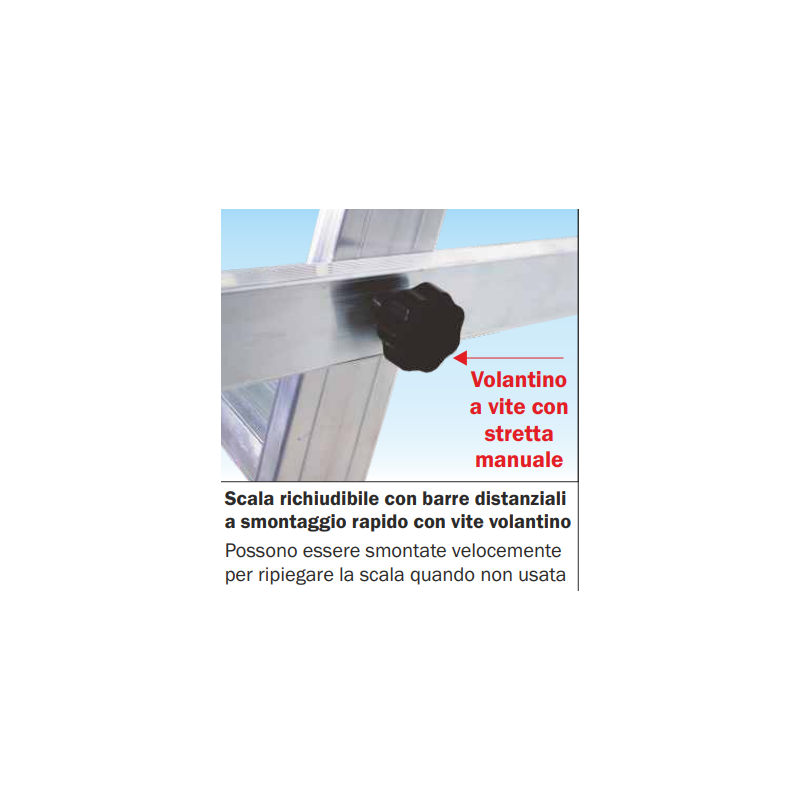 Scala Professionale SCA 6083/05 in Alluminio – 5 Gradini, Piattaforma ...